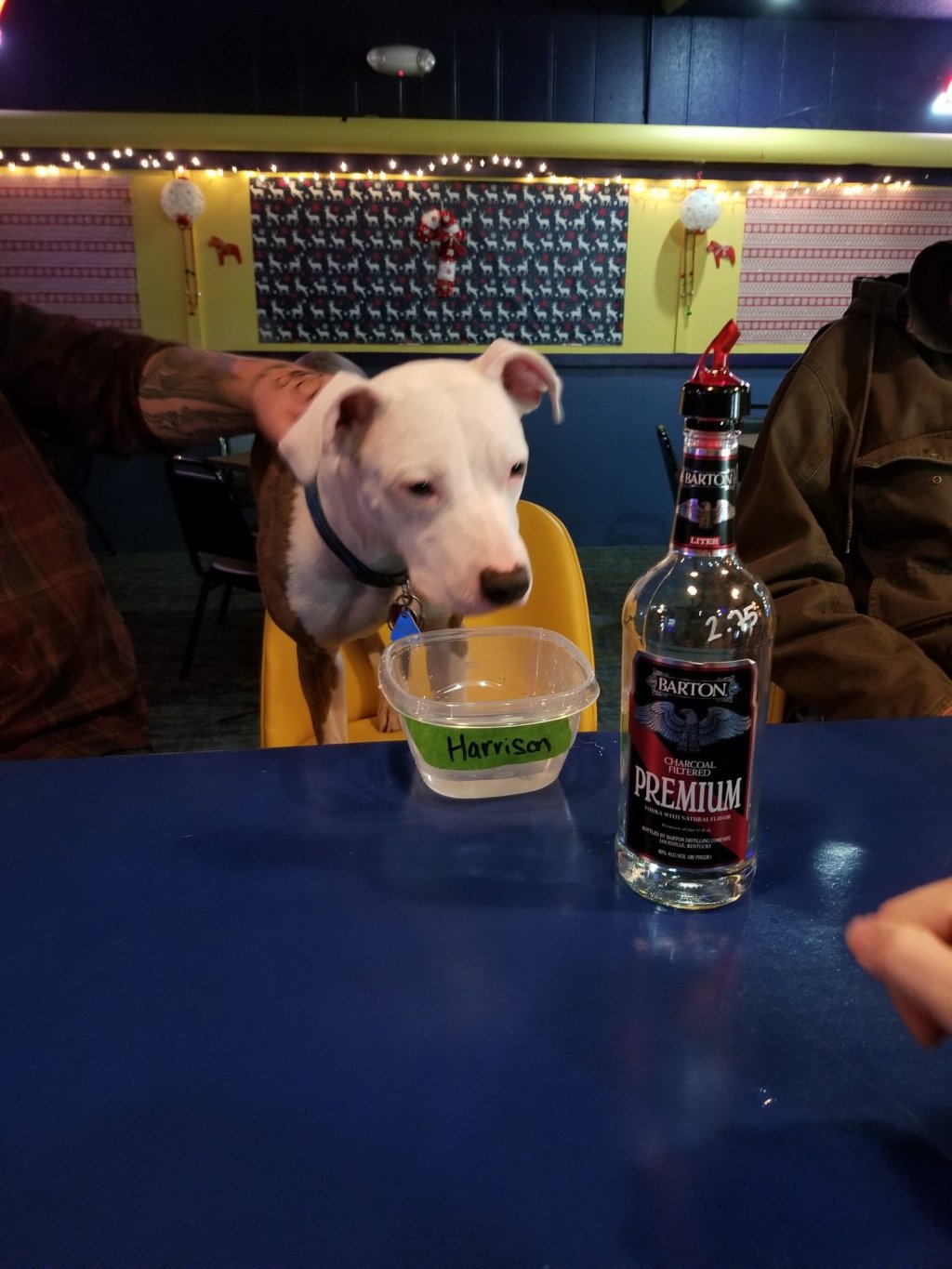 Fluffy's Swedish Pub